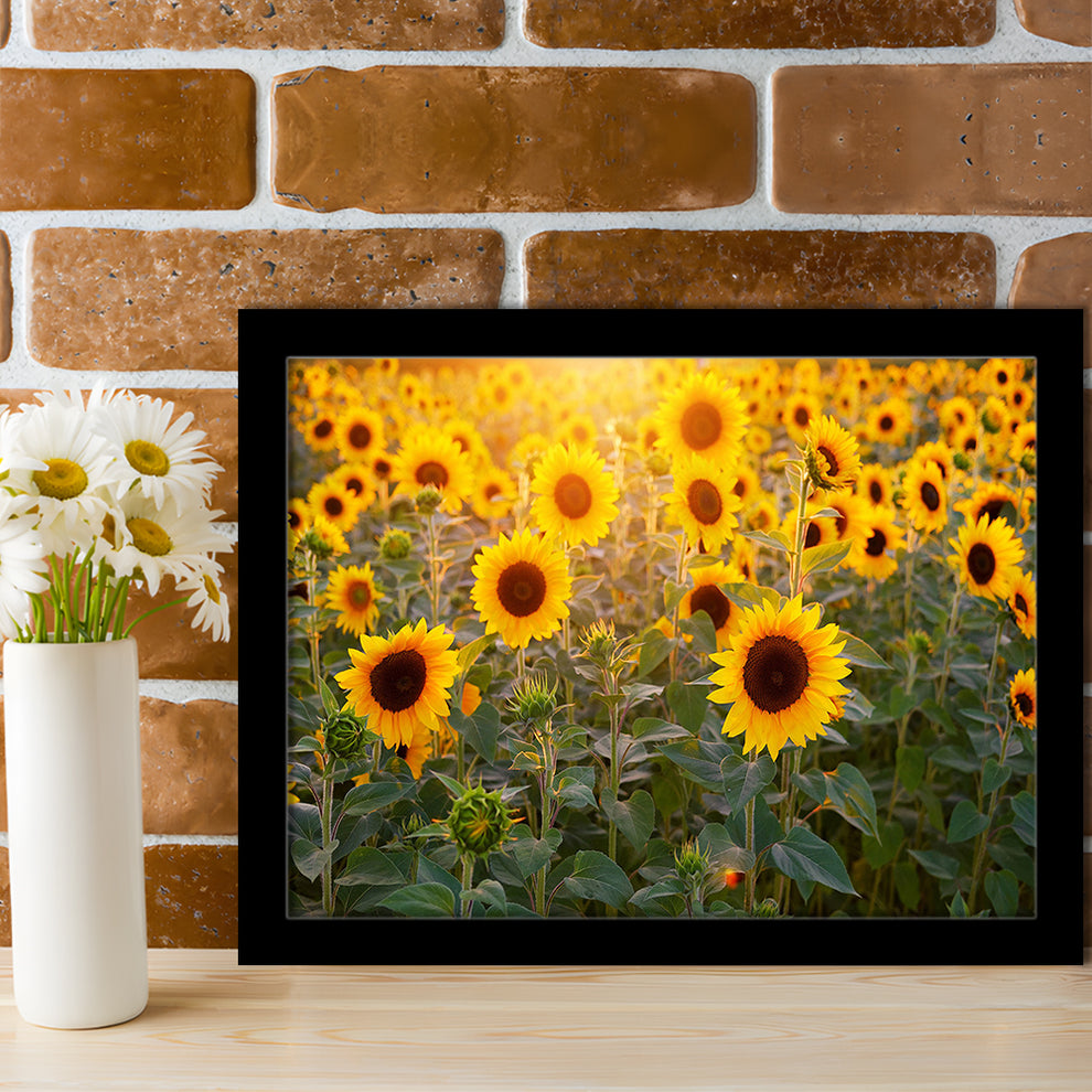 Sunflower Wall Art, Sunflower Wall Decor, Sunflower Art Sunflower Deco ...